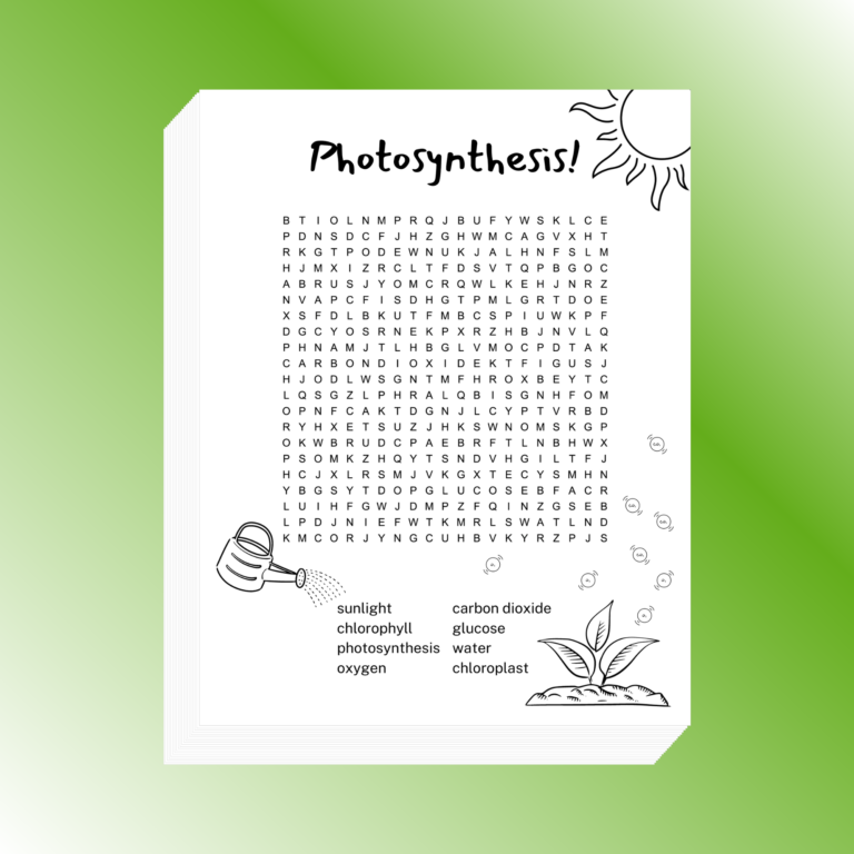 Photosynthesis Word Search – Word Search Boss