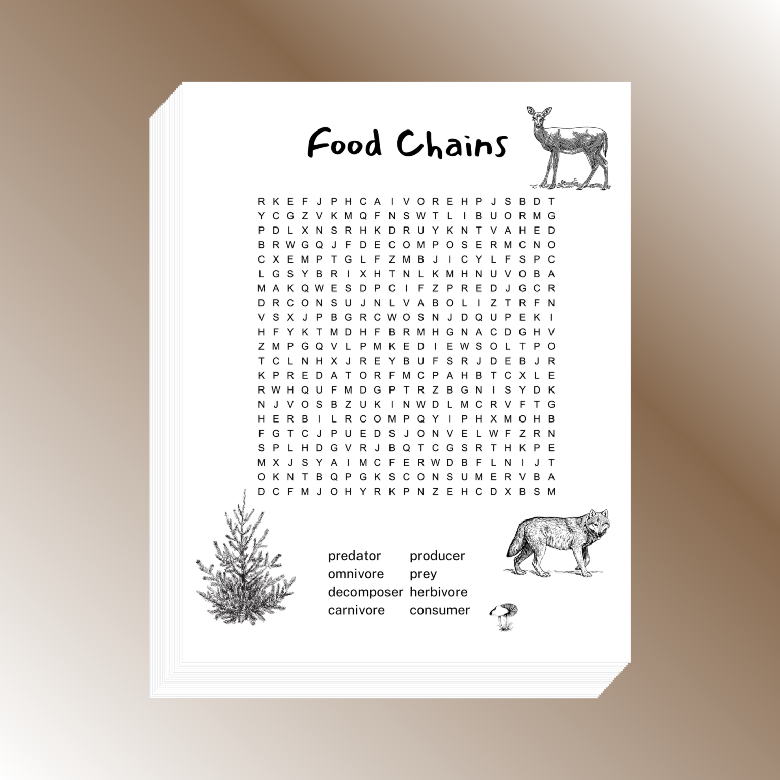 Food Chains Word Search – Word Search Boss