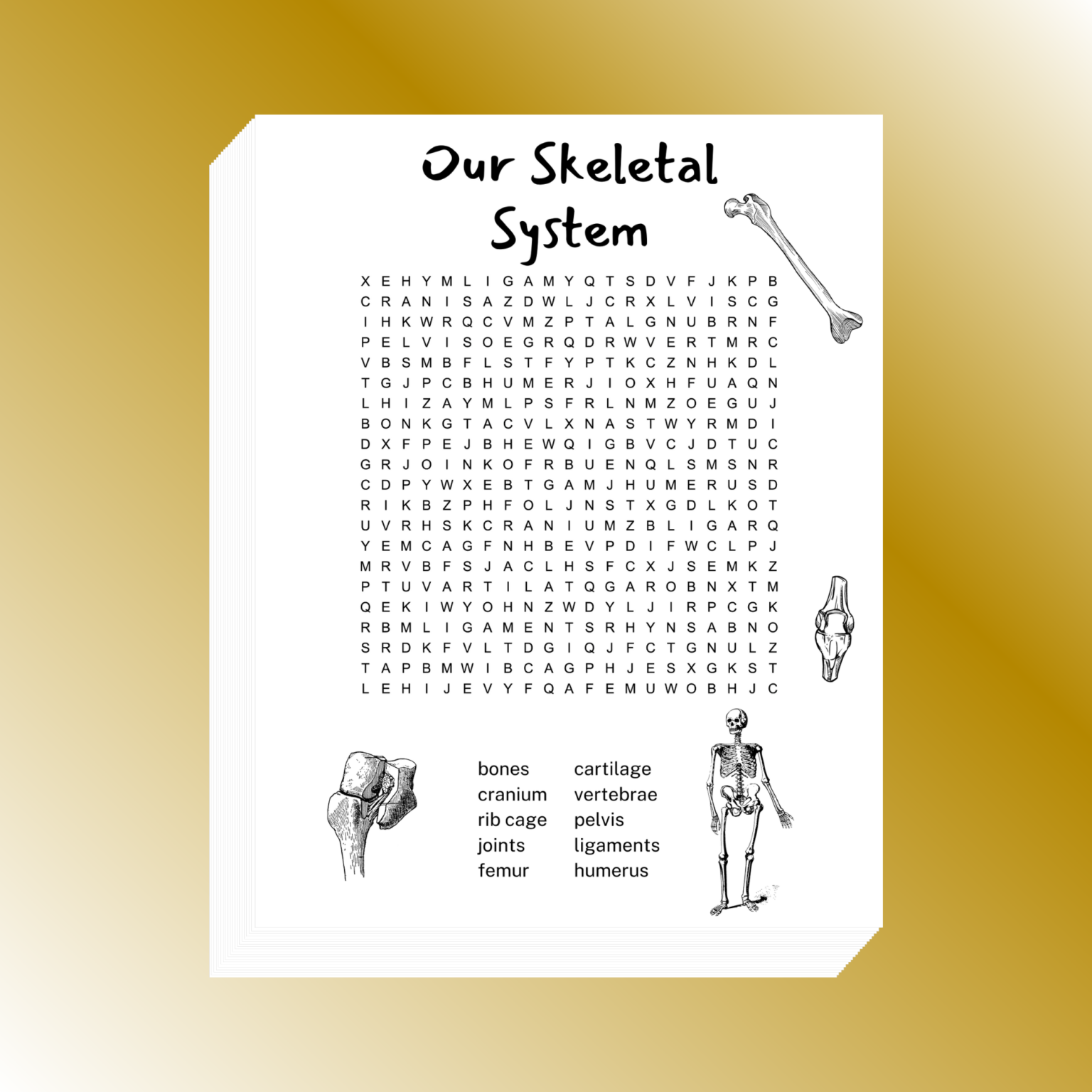 Skeletal System Word Search – Word Search Boss